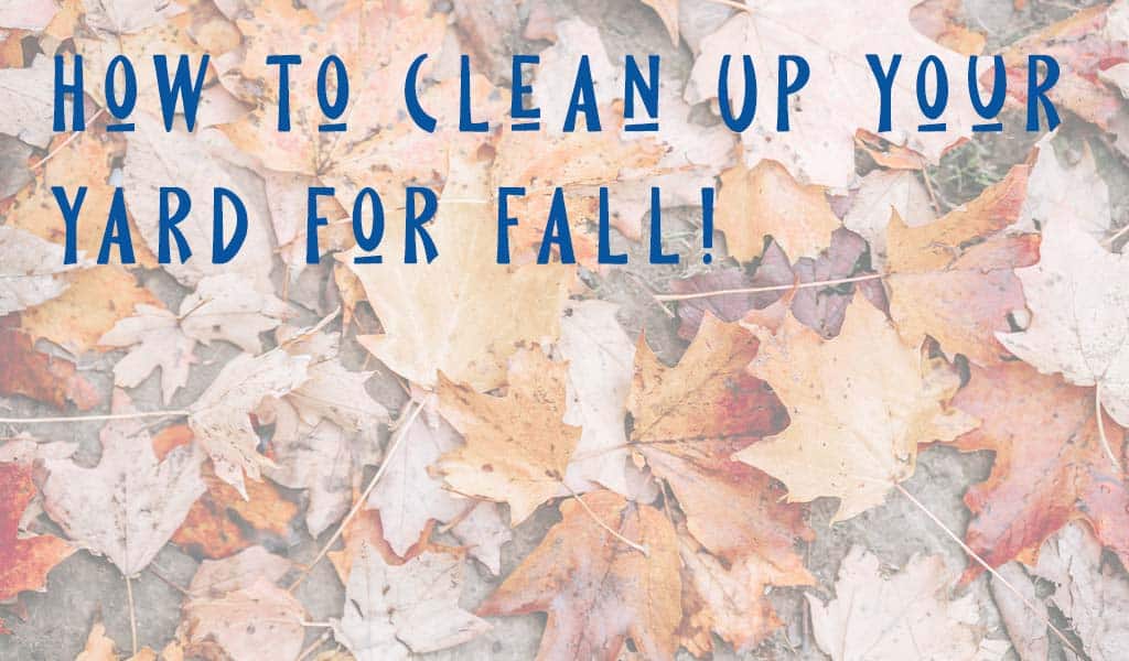 How to Clean-Up Your Yard for Fall - The Maids